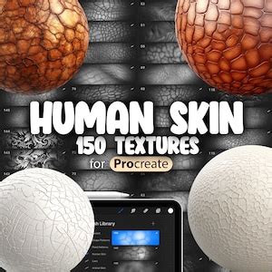 Procreate Human Skin Texture Realistic Skin Material Procreate Seamless Brushes Procreate