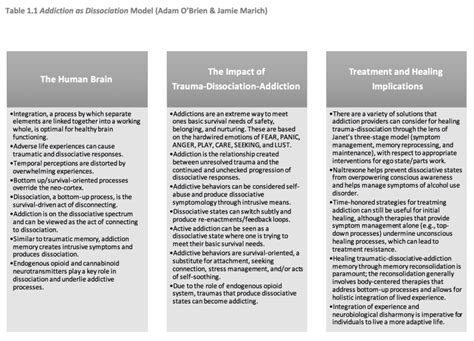 Addiction As Dissociation Model