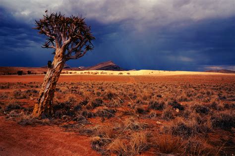 Namibia Travel News And Tips Travel 2 Namibia