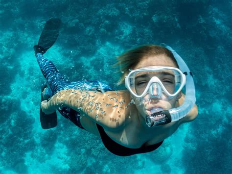 Dive Bermuda At Somerset Bermudas Premier Dive Centers