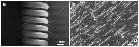 Preparation Method And Application Of Shape Memory Hydrogel Eureka