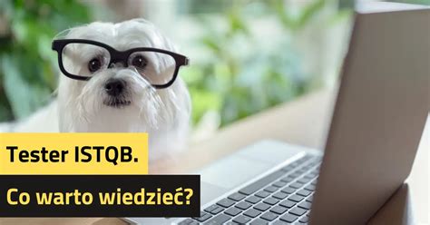 Tester Istqb Co Warto Wiedzieć