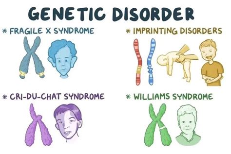 Chromosomal Disorders Structure Classification And Types Of