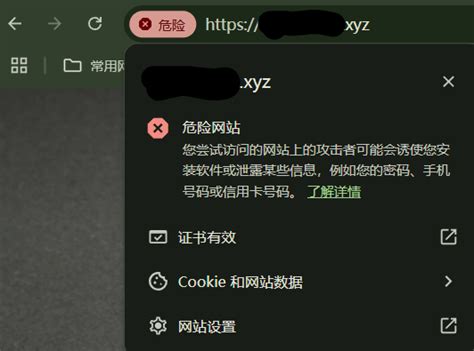 网站被chrome标记为危险怎么解决? 开发调优 Linux Do 网站被chrome标记为危险怎么解决? 开发调优 Linux Do