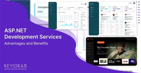 Web Application Development Standards And Structures