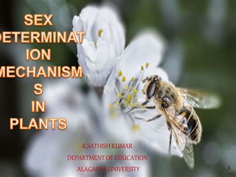 Horizontal Gene Transfer In Bacteria Pdf Biological Sciences Science