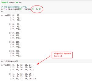 Python NumPy Not Found Fix Import Error