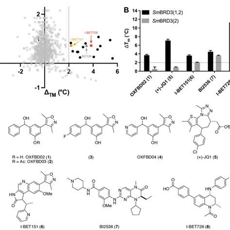 A A Scatter Plot Showing The Thermal Shift Δtm Values Of The 697