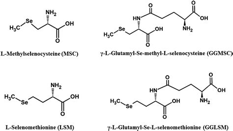 25 Facts About Selenium