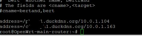 Issue With DNS Settings Installing And Using OpenWrt OpenWrt Forum