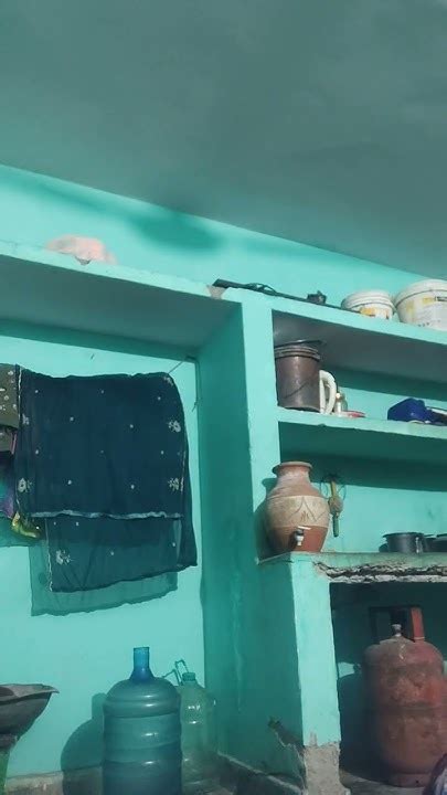 11 February 2025 Youtube