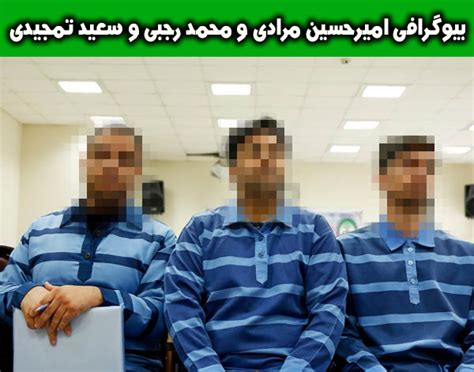 بیوگرافی امیرحسین مرادی و محمد رجبی و سعید تمجیدی ️ شبونه