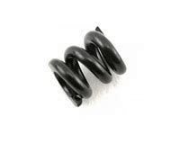 Kyosho Differential Tensioner Spring