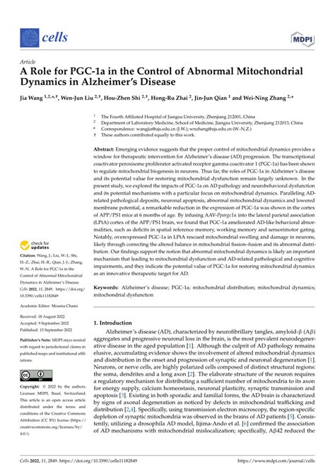 Pdf A Role For Pgc 1a In The Control Of Abnormal Mitochondrial Dynamics In Alzheimers Disease
