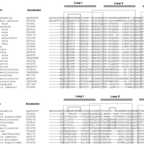 multiple sequence alignment of denmotoxin with non conventional toxins