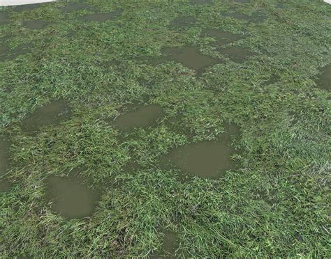 Wet Grass Terrain Pbr Textures 3d Texture By 32cm