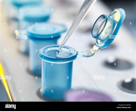 What Is Laboratory Sample In Analytical Chemistry At Christy Finch Blog