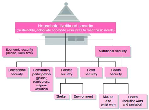 The Household Livelihood Security Model Download Scientific Diagram