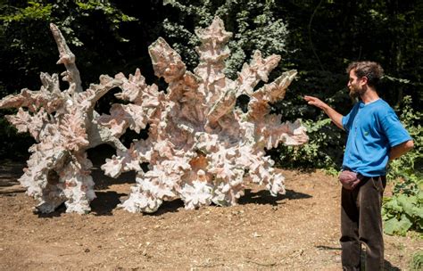 Meuse Lahaymeix Lévénement Vent Des Forêts Bien Plus Quun Simple