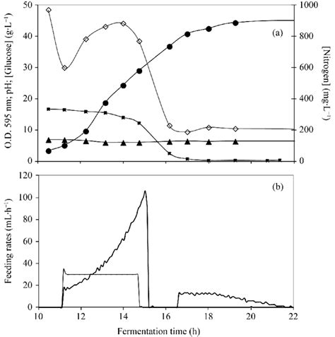 Fed Batch Cultivation Of Bacillus Subtilis A Optical Density At Download Scientific
