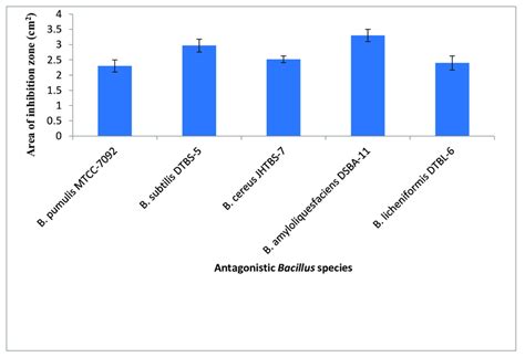 The Antagonistic Ability Of Bacillus Spp Against R Pseudosolanacearum