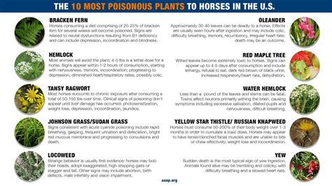 Poisonous Plants