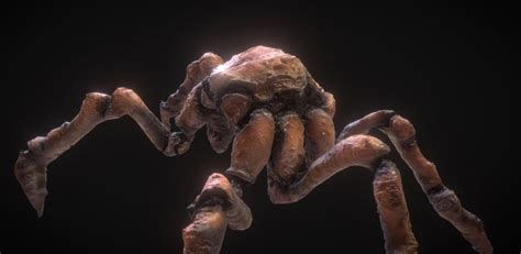 Mega Spider Crab 3d Model Turbosquid 1278955