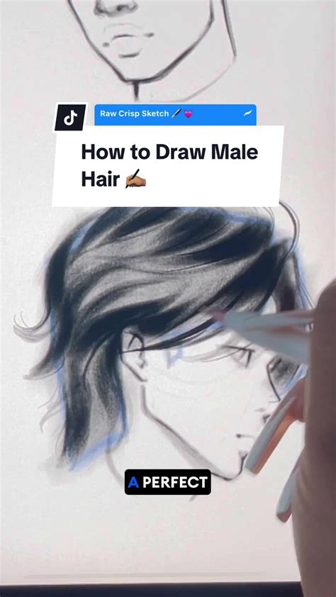 Realistic Male Hairstyles Drawing