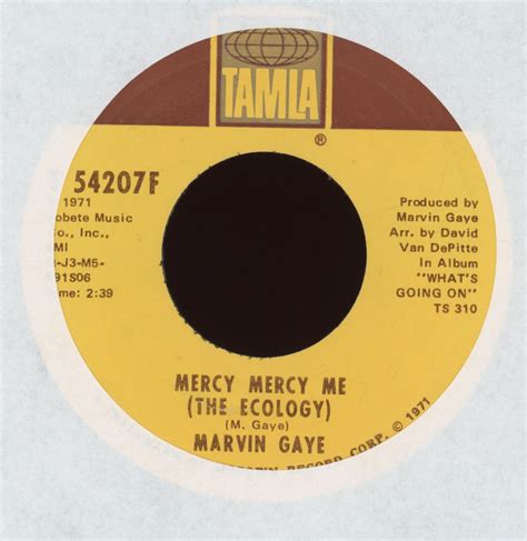 Marvin Gaye Mercy Mercy Me The Ecology On Tamla Soul Funk 45