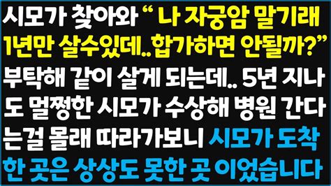 신청사연 시모가 찾아와 나 자궁암 말기래 1년만 살수있데 합가하면 안될까 부탁해 같이 살게 되는데5년지나도