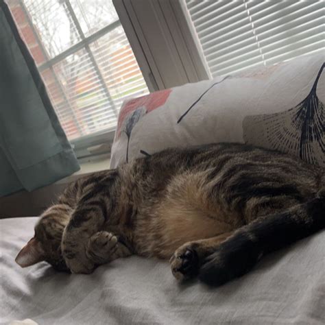 Jobsearch Linkedinlearning Taylor Meehan