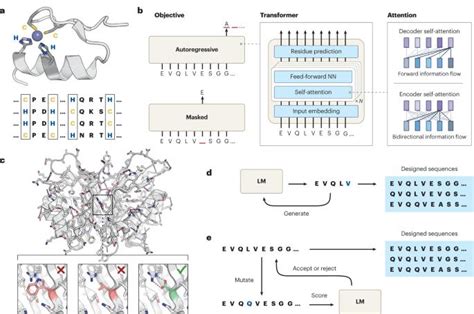 Ali Madani On Linkedin Designing Proteins With Language Models