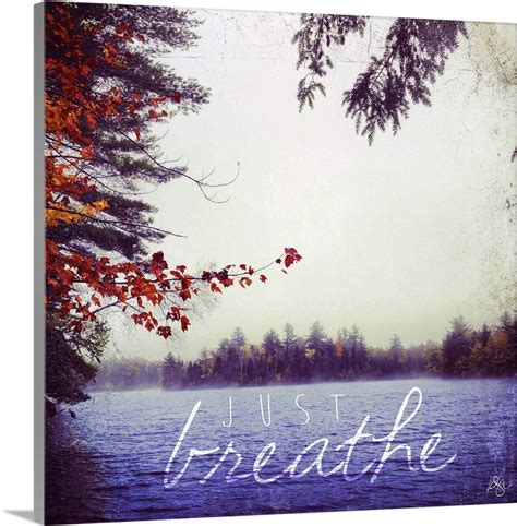 Just Breathe Wall Art Canvas Prints Framed Prints Wall Peels Great