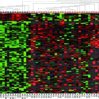 Heatmap And 2 Way Semi Supervised Hierarchical Clustering Based On 46