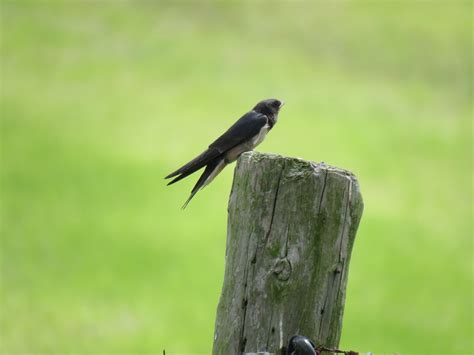 God Is In De Stilte Snelle Hapjes