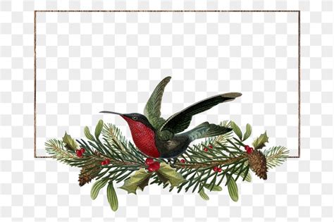 Cute Rectangle Frame Png Images Free Photos Png Stickers Wallpapers