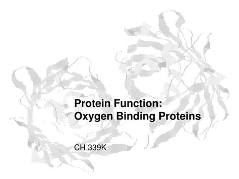 Ppt Protein Function Oxygen Binding Proteins Powerpoint Presentation Id 4331946