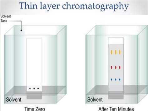 Assays Types Of Assays Principle And Prerequisites Of Assays And