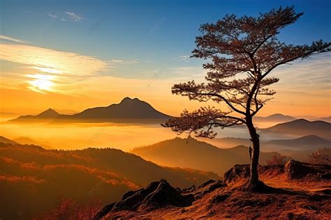 Landscape Background Autumn Branches Clouds Background Image And