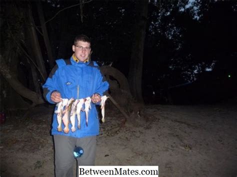 Unterschied Zwischen Fmla Und Ada Unterschied Zwischen Andere 2025