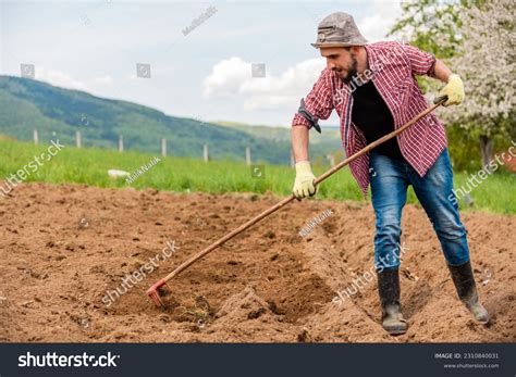 Trabajando