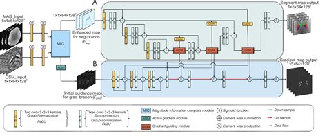 Figure 1 From Quantitative Susceptibility Mapping Based Basal Ganglia Segmentation Via Agseg