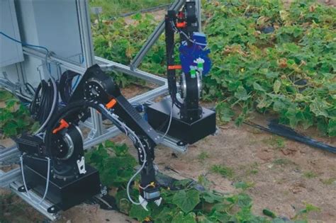 Lightweight Robot For Cucumber Harvesting
