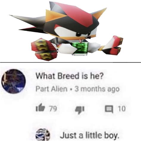 This Model Of Him Is So Cute🙁 Sonic Sonic And Shadow Sonic Franchise