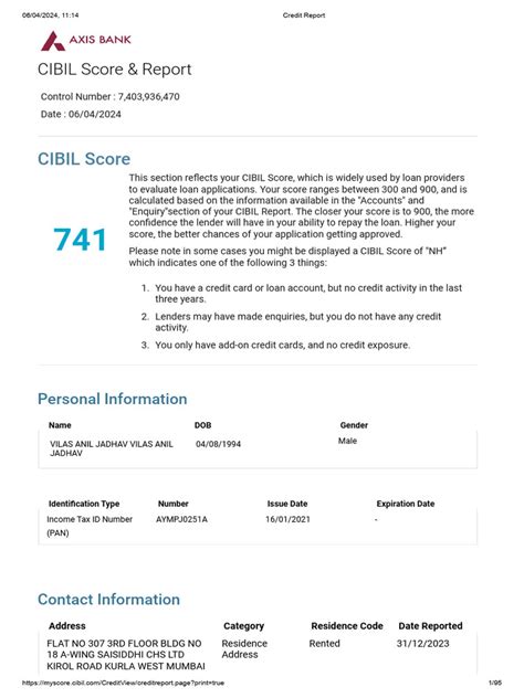 Anil Jadhav Credit Report Pdff Pdf Finance And Money Management