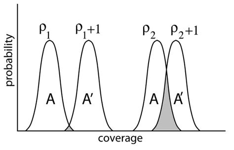 Diagrammatic Synopsis Of The Intersection Probability Paired Coverage
