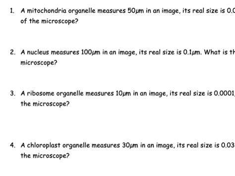 Magnification Questions Teaching Resources Magnification Questions Teaching Resources