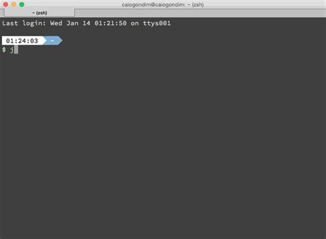 Github Caiogondimbullet Trainzsh Bullettrainside An Oh My Zsh