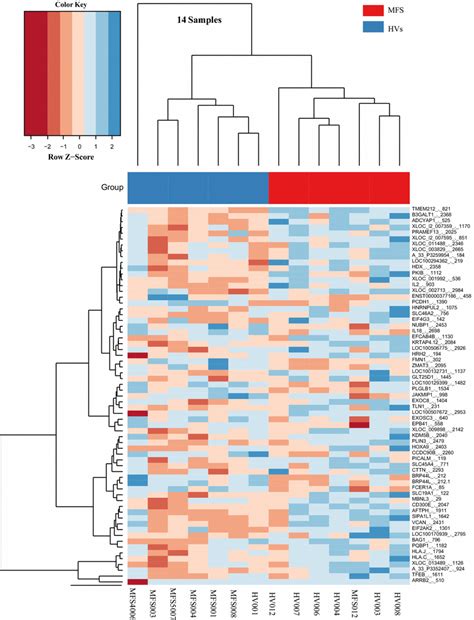 Unsupervised Hierarchical Clustering Euclidian Distance Complete