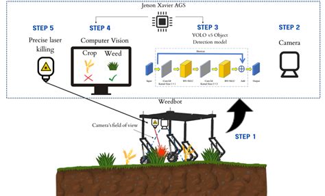 functioning of a real time laser based weed detection system